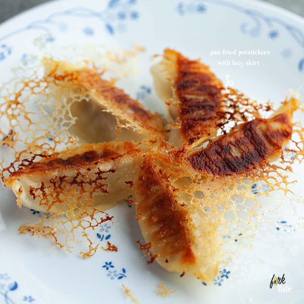 Easy Potsticker Recipe (Step by step photos) + Crispy Lace Skirt | The ...