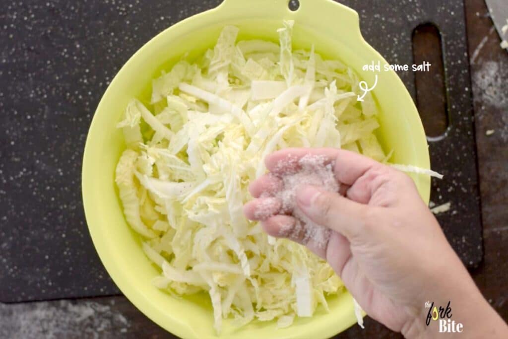 Easy Potsticker Recipe (Step by step photos) + Crispy Lace Skirt - The ...