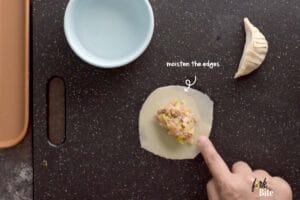 Easy Potsticker Recipe (Step by step photos) + Crispy Lace Skirt - The ...