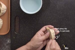 Easy Potsticker Recipe (Step by step photos) + Crispy Lace Skirt | The ...