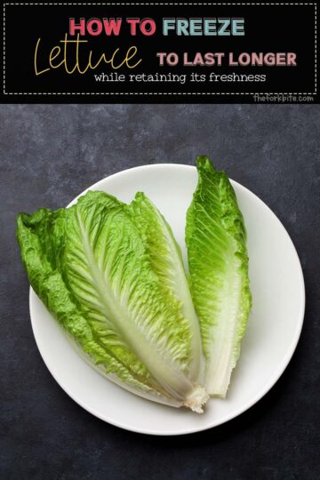 Can you Freeze Lettuce? (to Make it Last Longer) - The Fork Bite