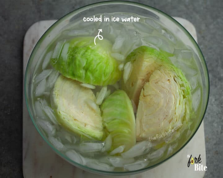 Can you Freeze Cooked Cabbage - The Fork Bite
