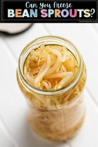 How to Freeze Bean Sprouts | Keep them Fresh Longer - The Fork Bite