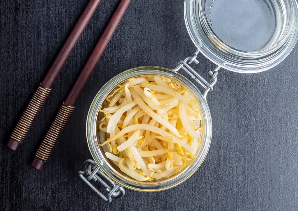 How to Freeze Bean Sprouts | Keep them Fresh Longer - The Fork Bite