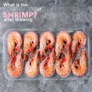 Can You Refreeze Shrimp that has been Previously Thawed? - The Fork Bite