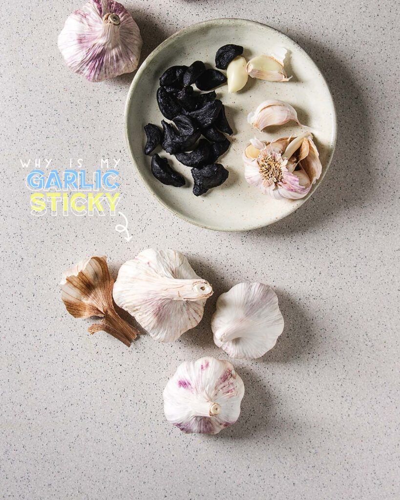 Why is Garlic Sticky? 7 Ways to Avoid it - The Fork Bite
