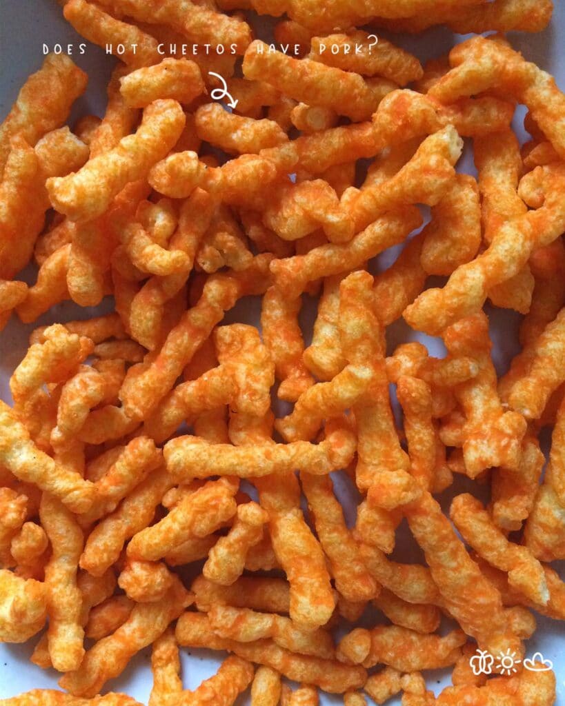 Does Cheetos Have Pork? (Ingredients Explained) - The Fork Bite