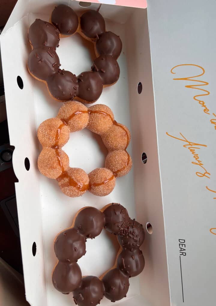 How to Store Mochi Donuts | A Comprehensive Guide - The Fork Bite