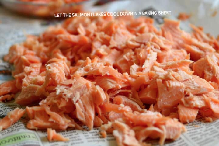Salmon Flakes: A Flavorful Pantry Staple - The Fork Bite
